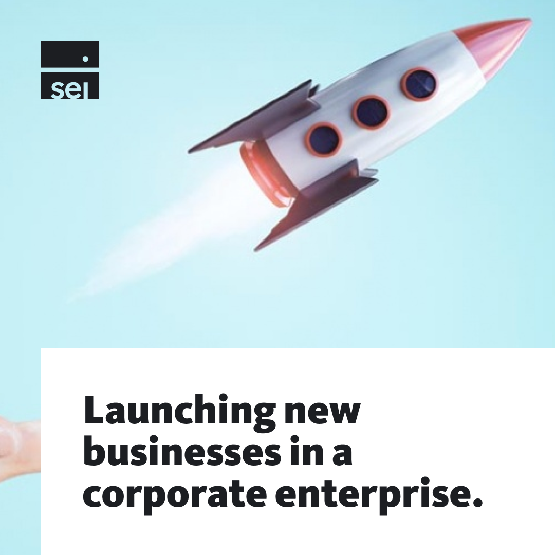Launching new businesses in a corporate enterprise | SEI